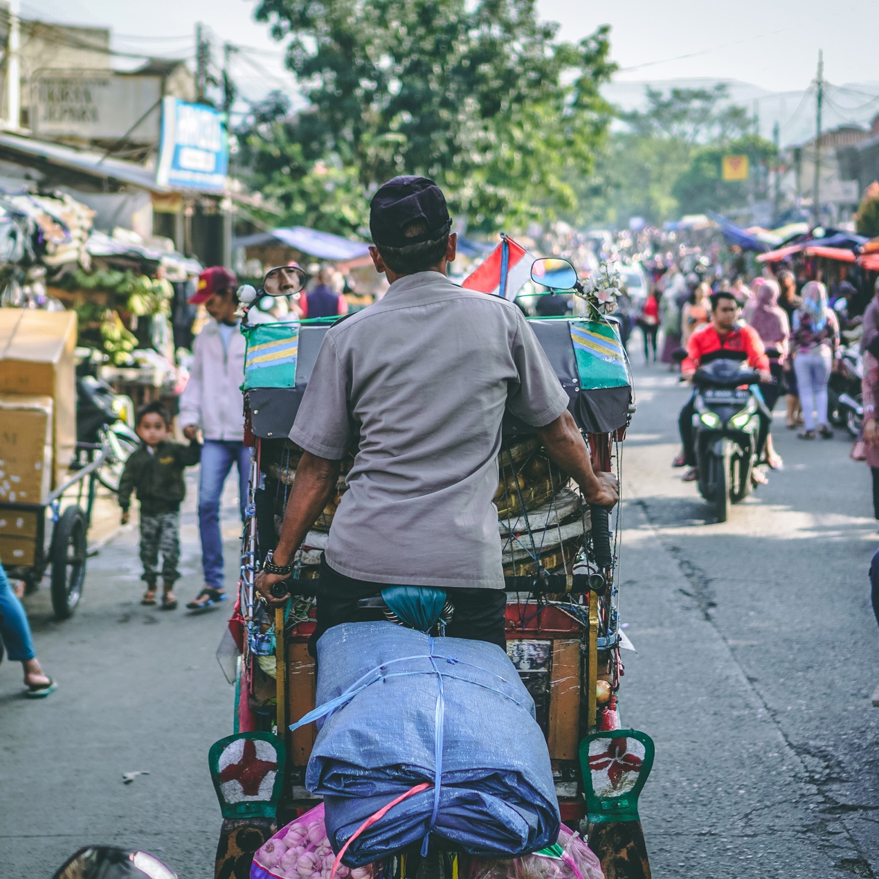 Short term programs - Southern Cross University