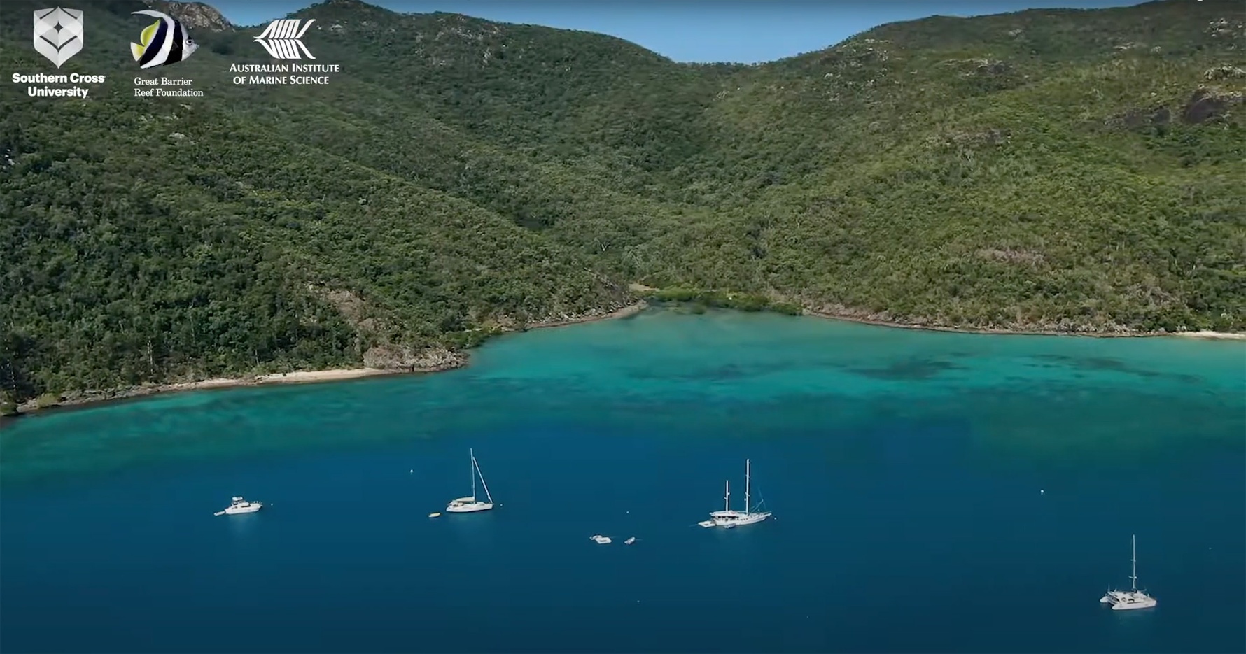 Coral IVF - Southern Cross University