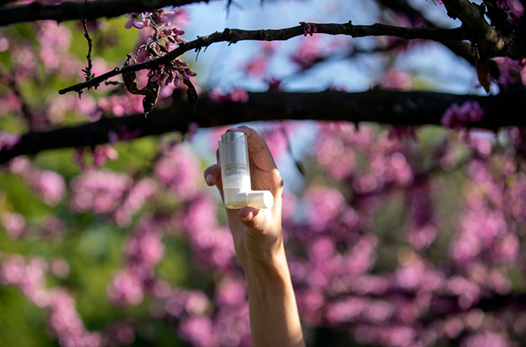 2020 - Asthma in rural Australia: can we breathe a little easier ...