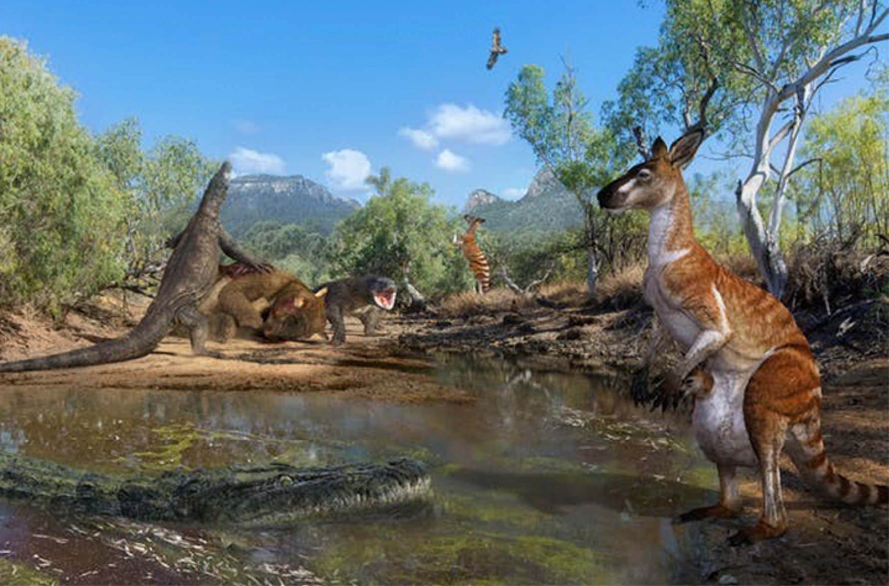 2020 - Humans coexisted with three-tonne marsupials and lizards as long ...