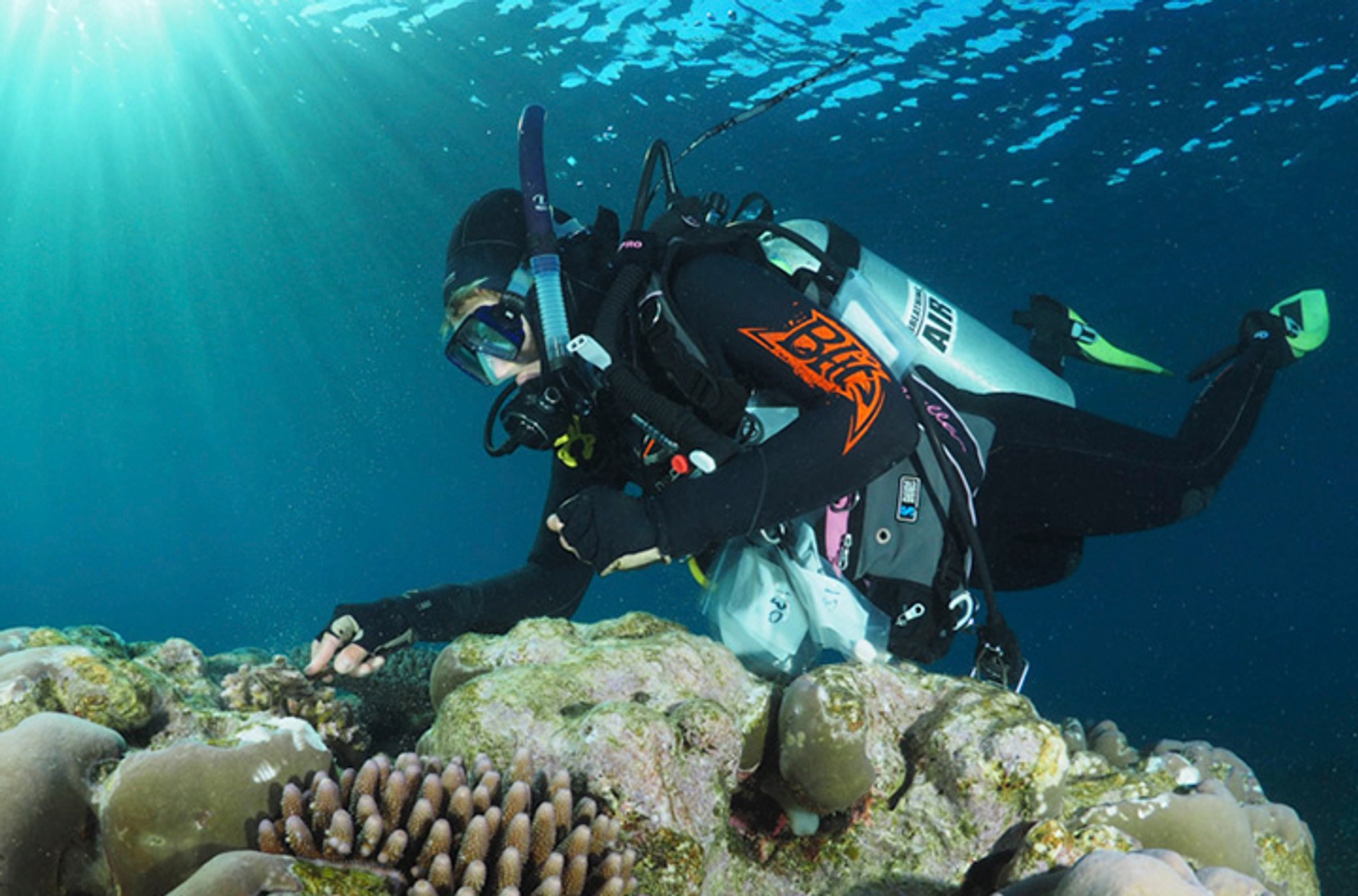 2020 - Southern Cross University joins world-leading RRAP program to ...