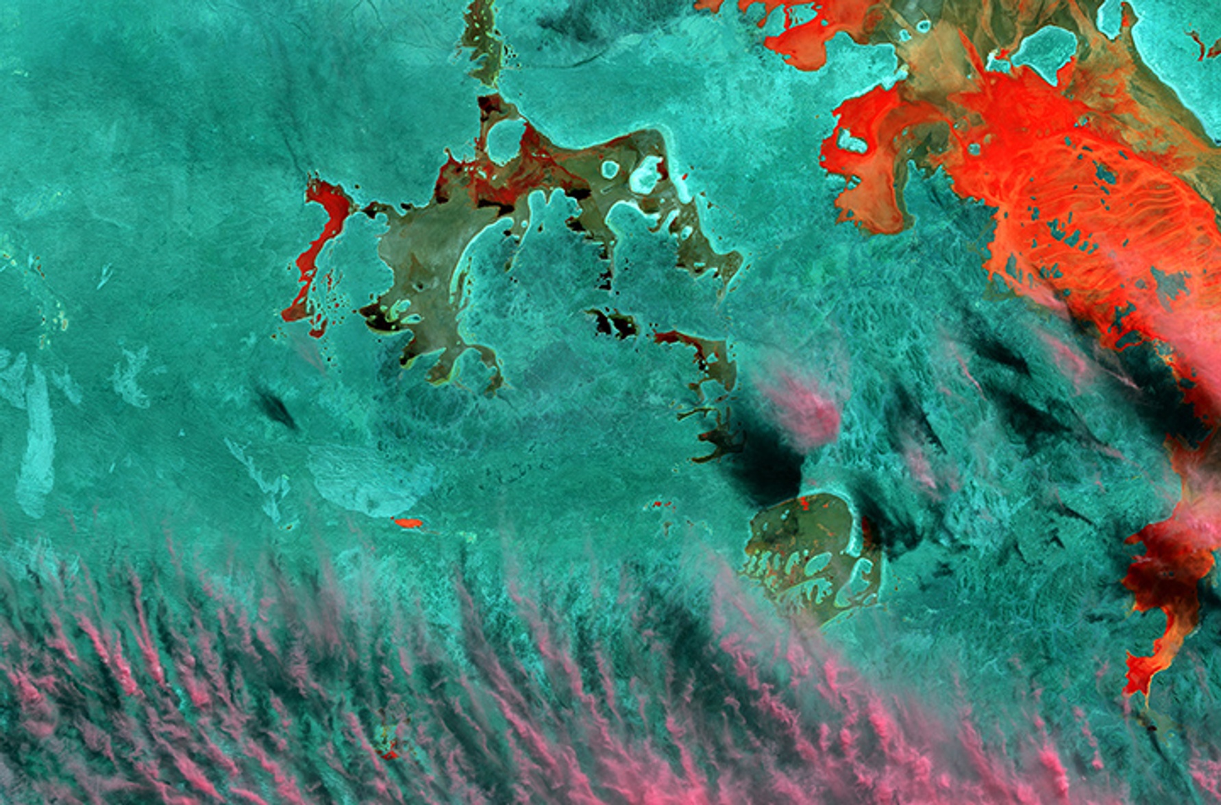 2020 - Art/science collaboration wins Waterhouse Natural Science Art ...