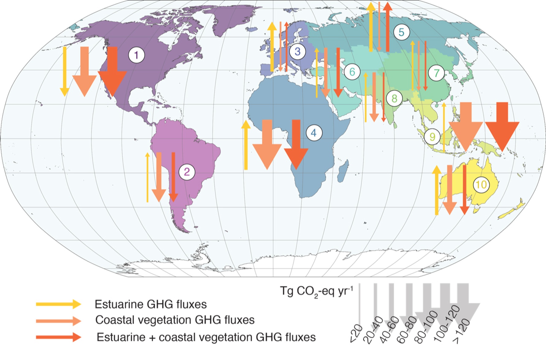 Coastal ecosystems greenhouse gas sinks Nature Climate Change Judith ...