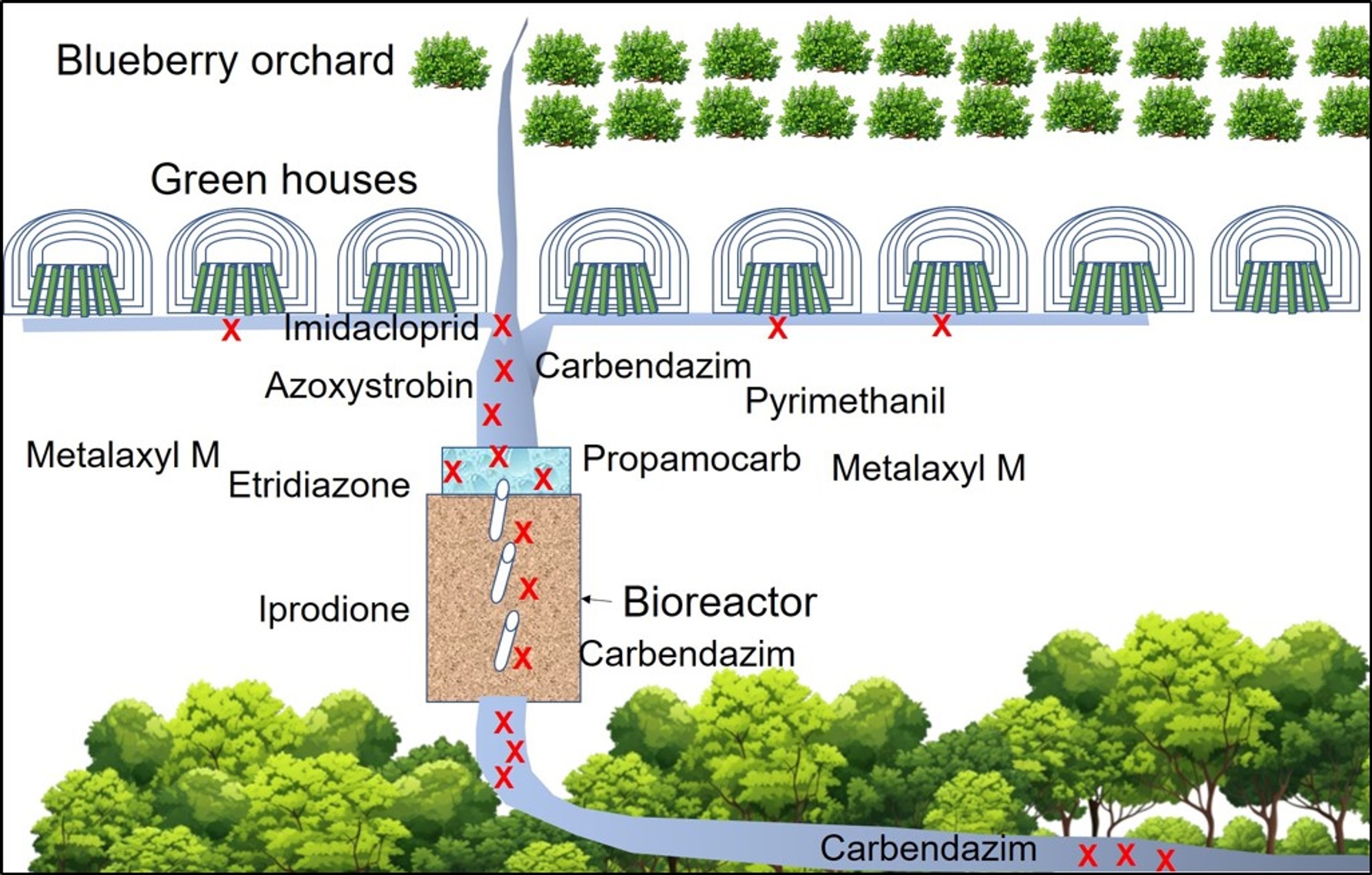 Bioreactor reduces pesticide runoff - Southern Cross University