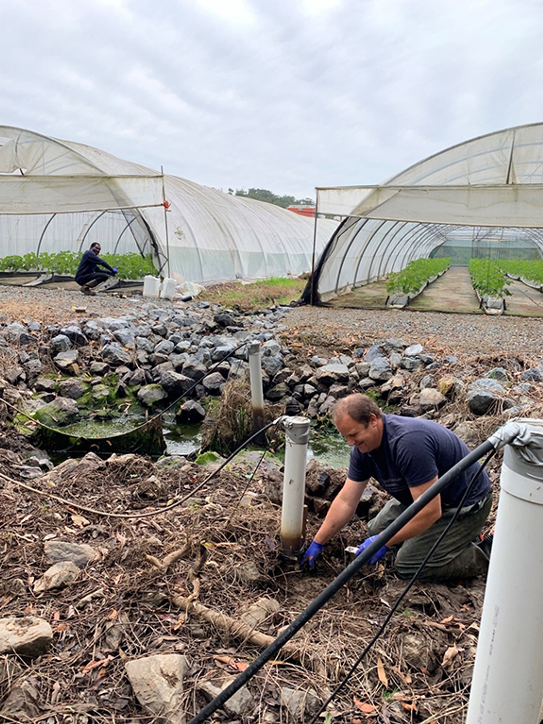 Bioreactor reduces pesticide runoff - Southern Cross University