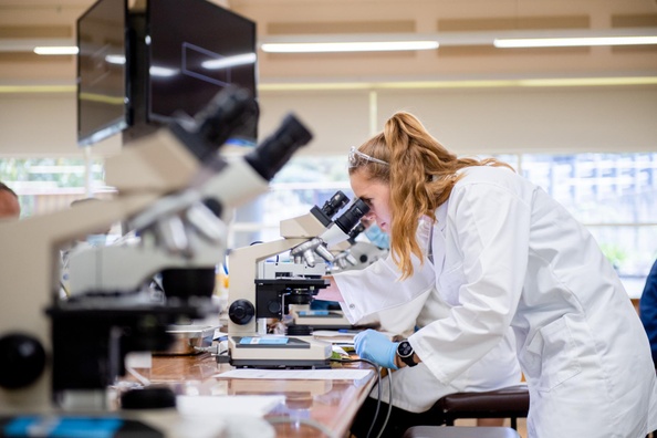 Medical Laboratory Science - Southern Cross University