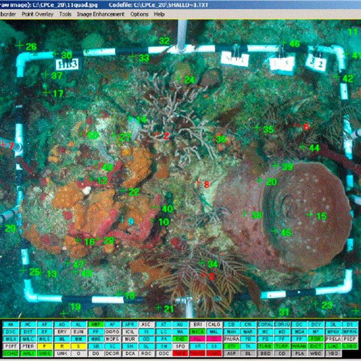 Education - Solitary Island Aquarium - Southern Cross University