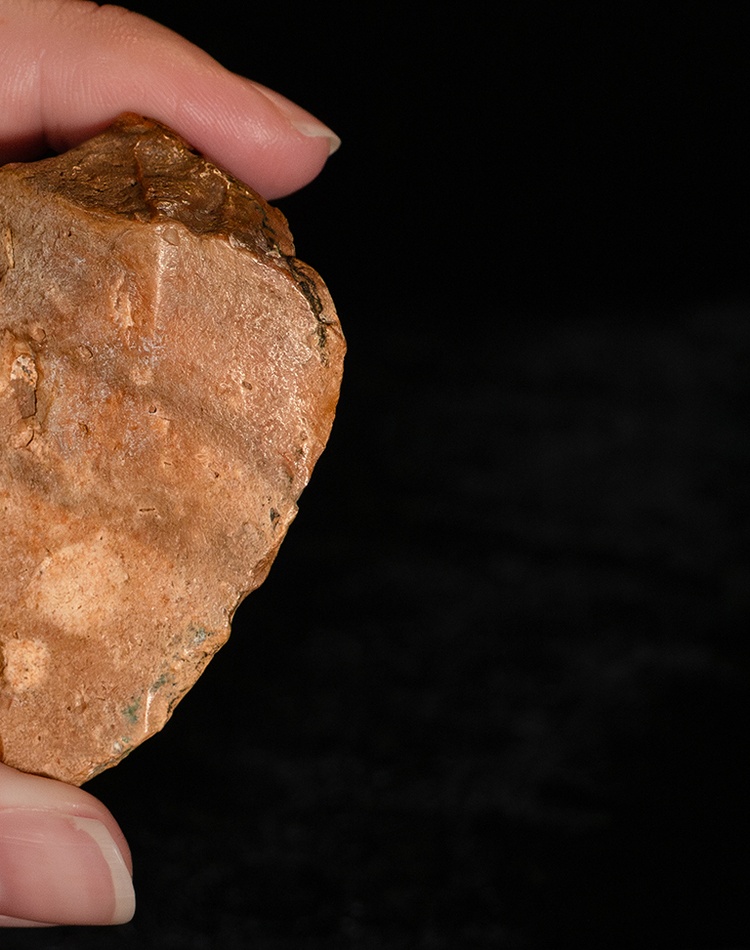 toolonga calcilutite