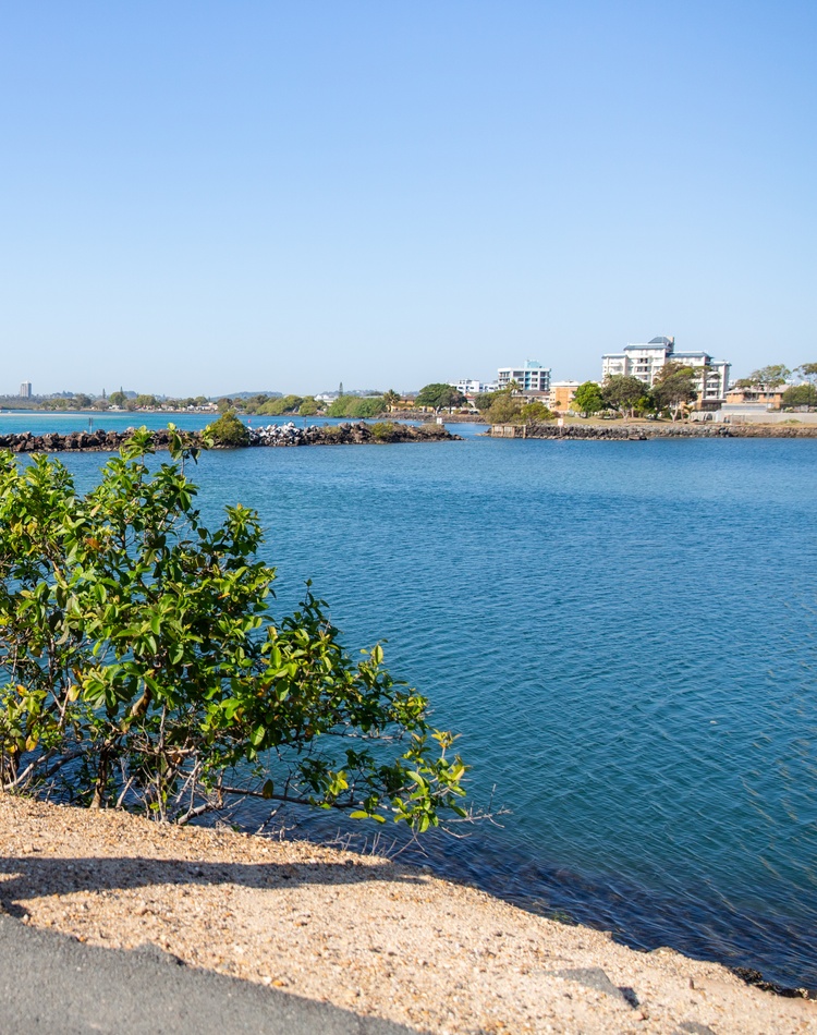 Pillars of Performance: SCU Buzz - Southern Cross University