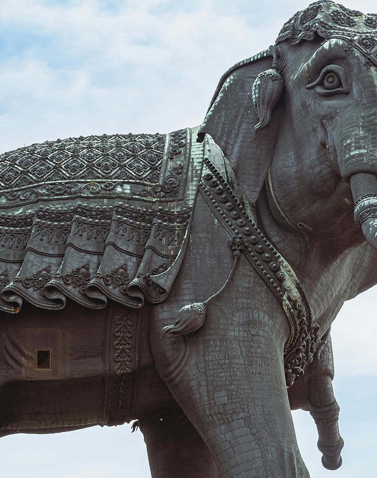 TC war elephants ancient history - Southern Cross University