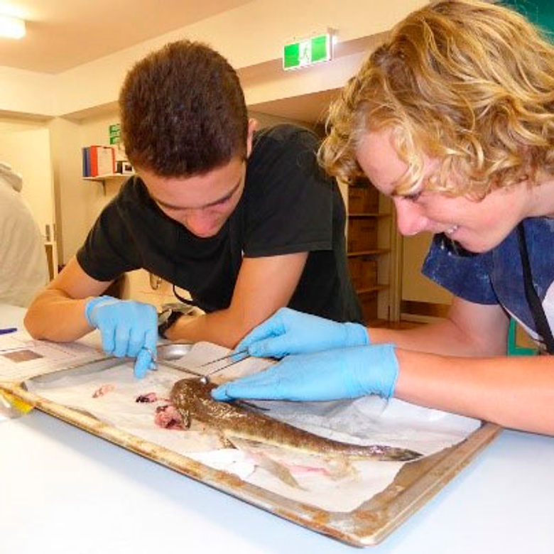 Education - Solitary Island Aquarium - Southern Cross University