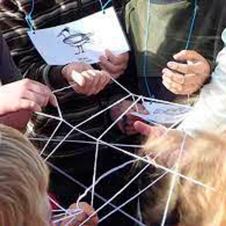 Education - Solitary Island Aquarium - Southern Cross University