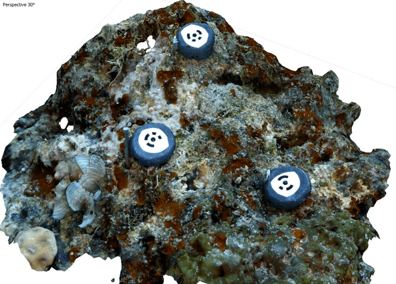 Macrophotogrammetry for corals research paper - Southern Cross University