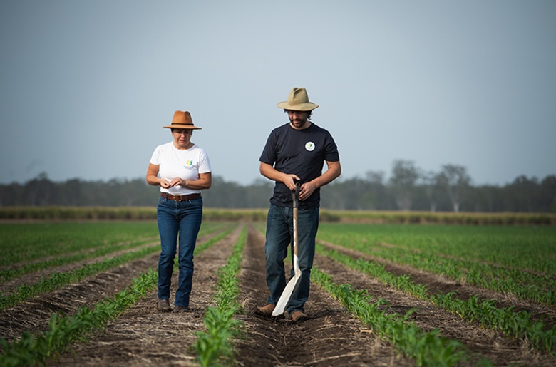 Grain farmers survey - Southern Cross University