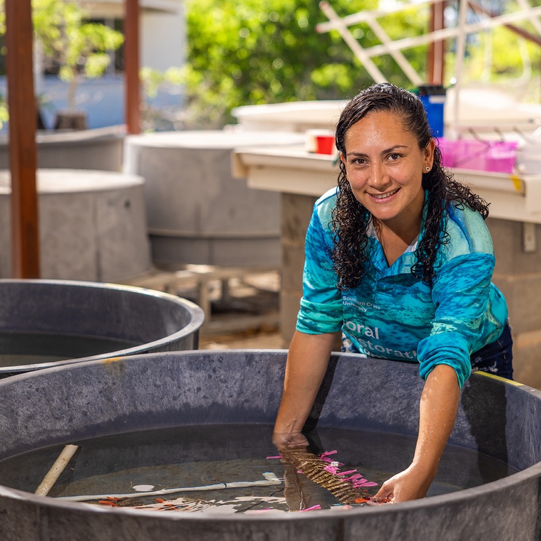 2021 Woodchip Bioreactors May Help Farmers Reduce Fertiliser Pollution In Waterways Southern