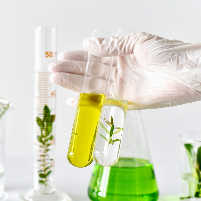 Centres and Labs - Southern Cross University