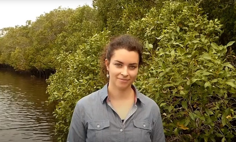 RISE - Southern Cross University