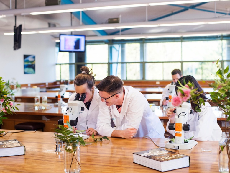 Teaching - Library - Southern Cross University