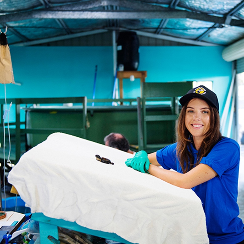 Why SCU - Southern Cross University