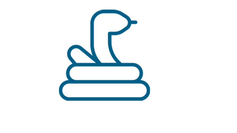 Critical risk - Southern Cross University